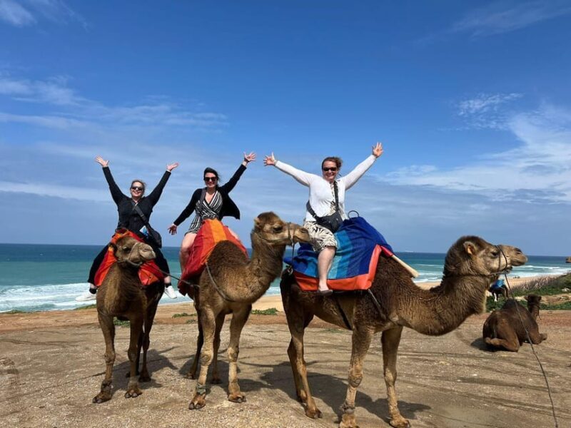 From Tarifa: 2 days 1 night To Chefchaouen all inclusive - The Sum Up