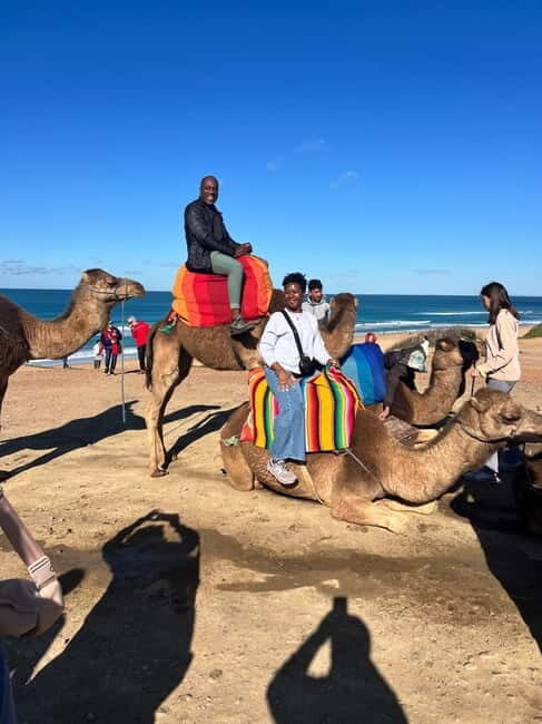 From Tarifa: Tangier Day Trip with Lunch and Ferry - Analyzing the Value