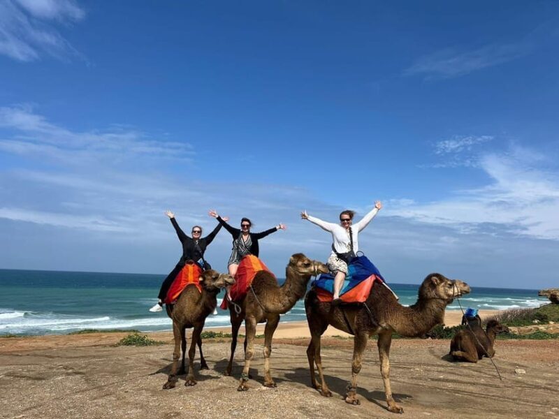 From Tarifa : Tangier tours with ticket and Moroccan food - Who Will Love This Tour?