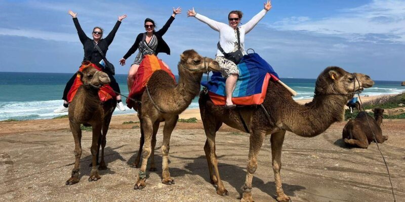 From Tarifa : Tangier tours with ticket and Moroccan food - Final Thoughts