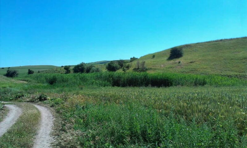 From Tashkent: Chimgan Valley Hiking Day Trip - Key Points