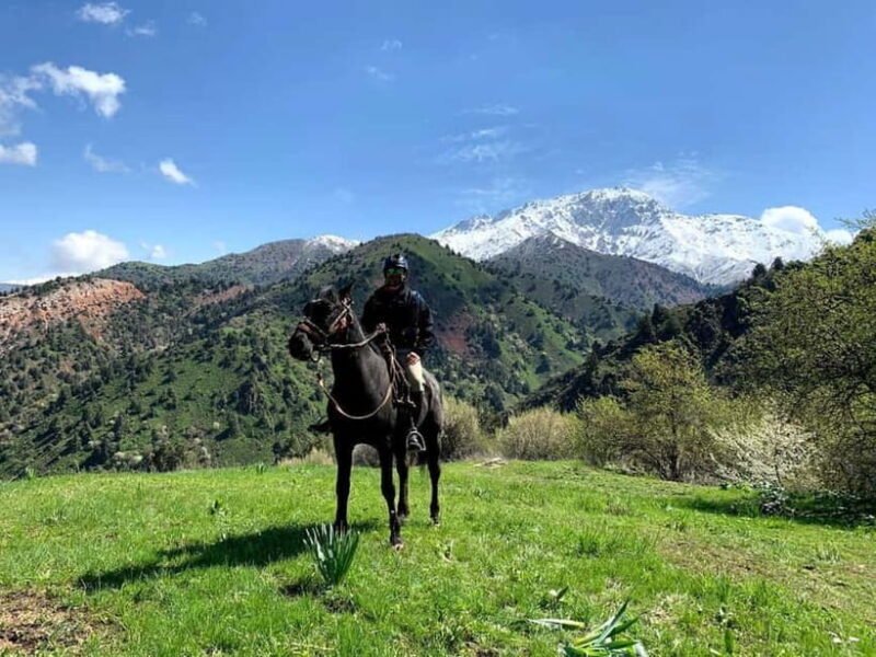 From Tashkent: Chimgan Valley Hiking Day Trip - The Value Proposition: Is It Worth It?