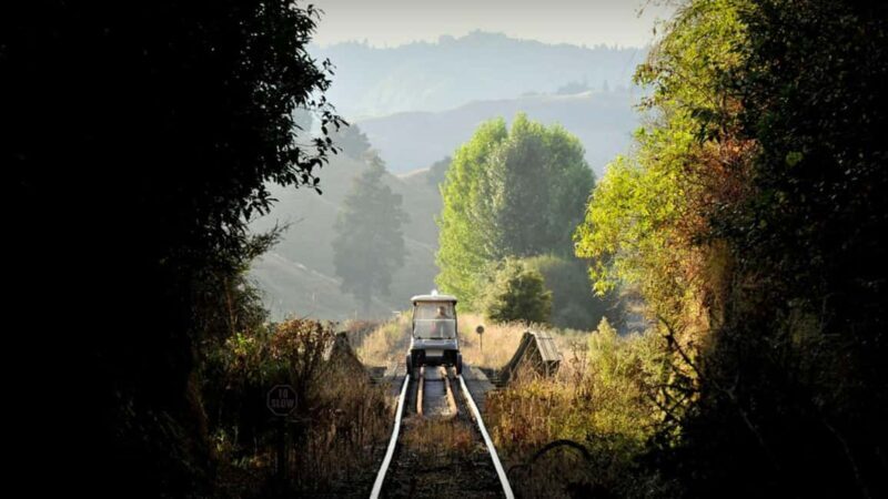 From Taumarunui: The Republic Rail Cart Adventure - The Experience: What Does It Feel Like?