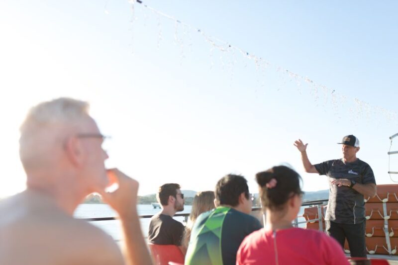 From Tauranga: Dolphin and Wildlife Cruise - What Past Travelers Say