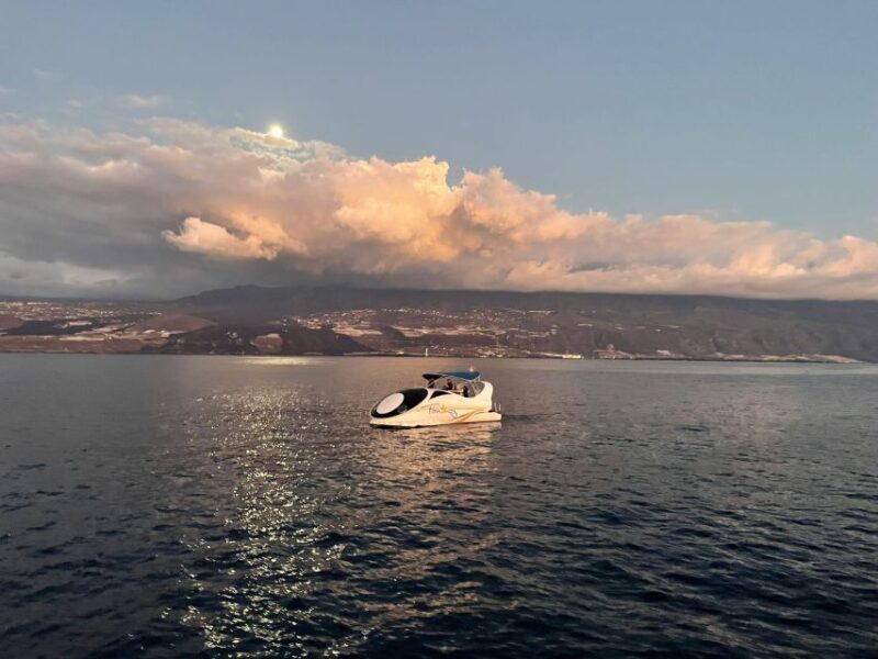 From Tazacorte: Discover the Northwest Coast by Speedy Yacht - Who Should Consider This Tour?