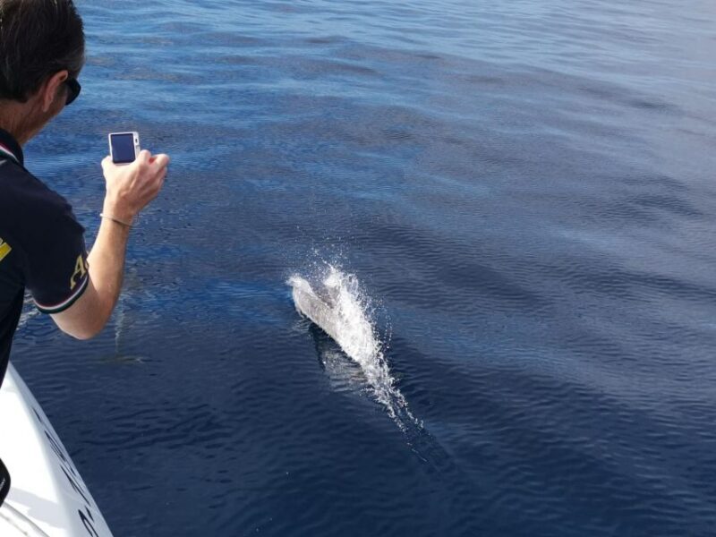 From Tazacorte: Fast Yacht Tour of La Palma - Setting Sail from Tazacorte — The Itinerary