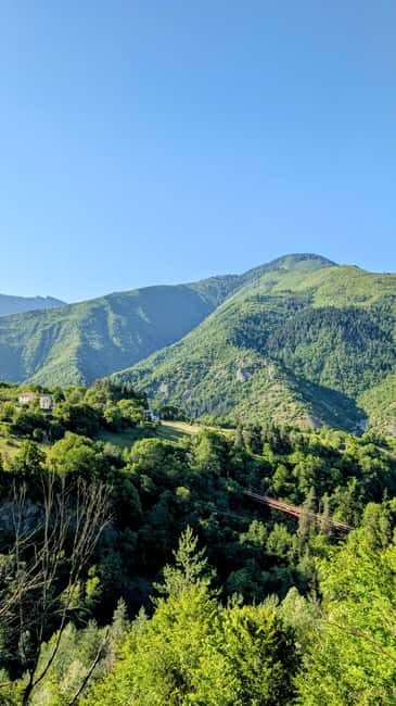 From Tbilisi: Bakuriani 1-Day Eco Tour by Electric Car - What’s Included and What Not