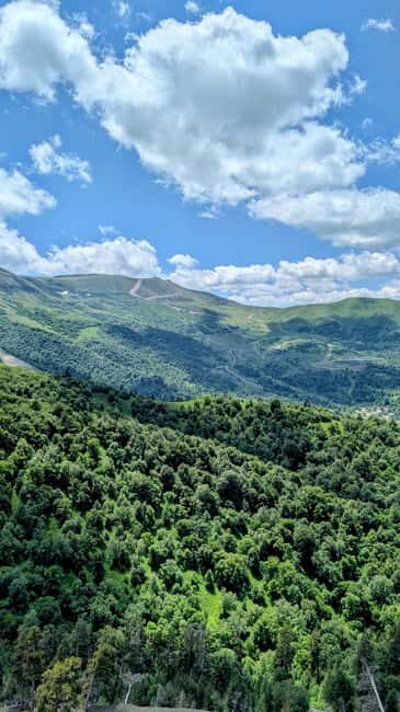 From Tbilisi: Bakuriani 1-Day Eco Tour by Electric Car - The Sum Up: Is It Worth Your Time?