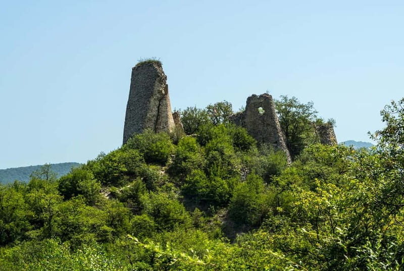 From Tbilisi: Bodbe, Sighnaghi & Kakheti Guided Day Trip - Authentic Experience and Traveler Insights