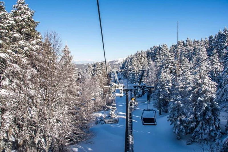 From Tbilisi: Borjomi and Bakuriani Ski Resort Private Tour - Introduction: A Perfect Mix of Nature and Adventure