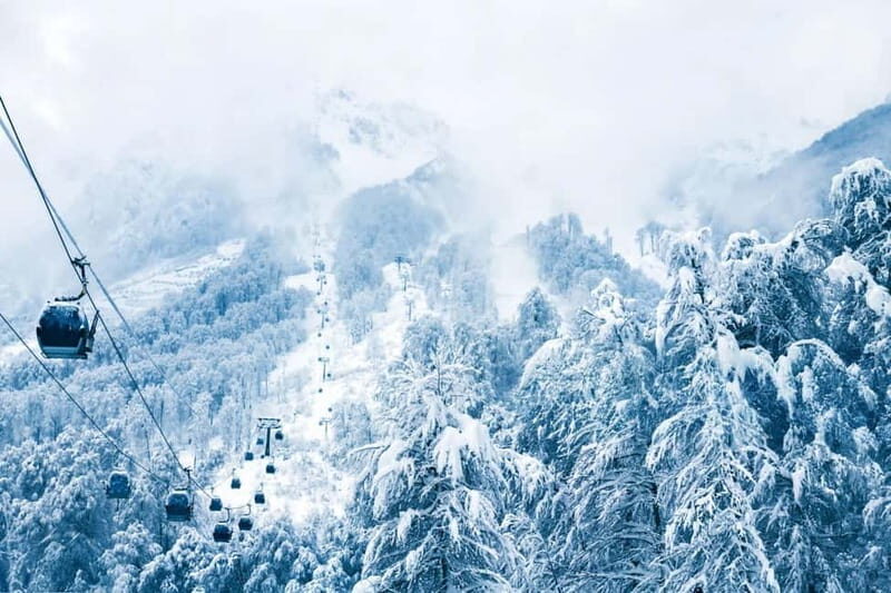 From Tbilisi: Borjomi and Bakuriani Ski Resort Private Tour - Bakuriani Ski Resort: A Winter Playground