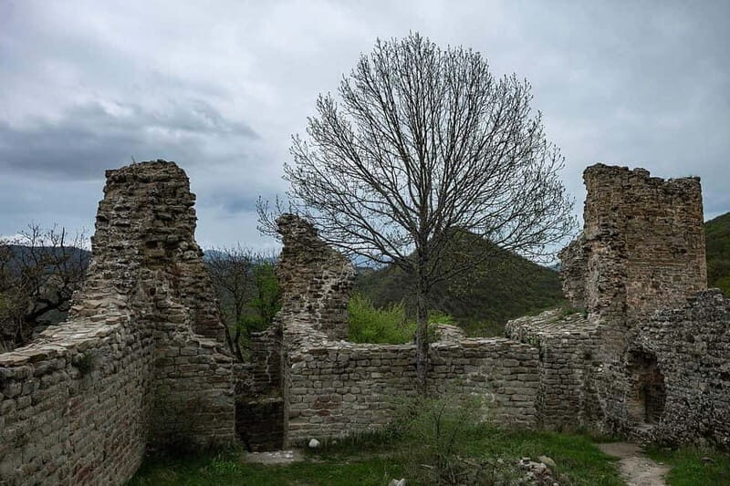 From Tbilisi: Kakheti, Bodbe, Sighnaghi, & Telavi Tour - Frequently Asked Questions