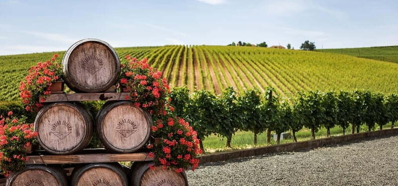 From Tbilisi: Kakheti Day Trip with Wine Tasting & Lunch - Key Points