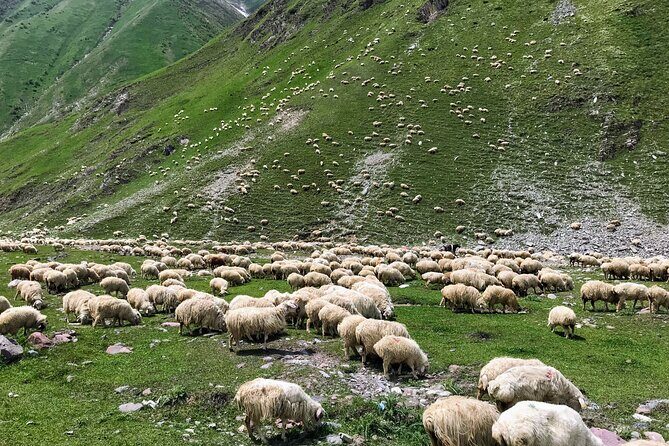 From Tbilisi: Kazbegi Ananuri Gudauri and Trusso Valley by 4x4 - FAQ