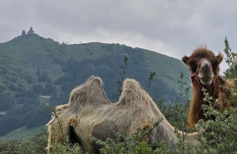 From Tbilisi: Kazbegi Private Tour with 4x4 and Waterfalls - Introduction