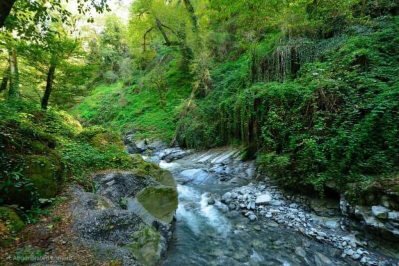 From Tbilisi: Private Ninoskhevi Waterfall Hike in Lagodekhi - A Deep Dive into the Experience