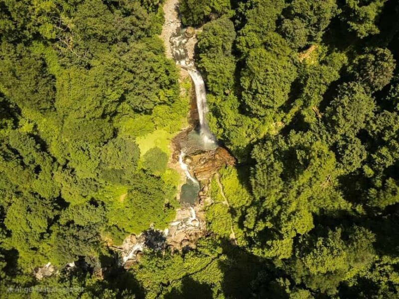 From Tbilisi: Private Ninoskhevi Waterfall Hike in Lagodekhi - The Sum Up