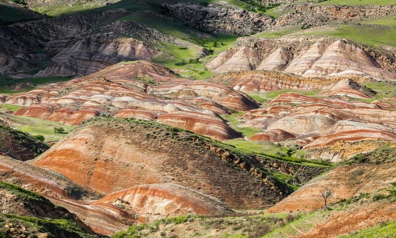 From Tbilisi: Rainbow Mountain & David Gareja Monastery Trip - Key Points