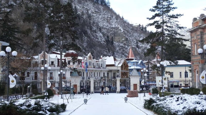 From Tbilisi: Vardzia, Rabati, and Borjomi Day Tour - Who Should Consider This Tour?