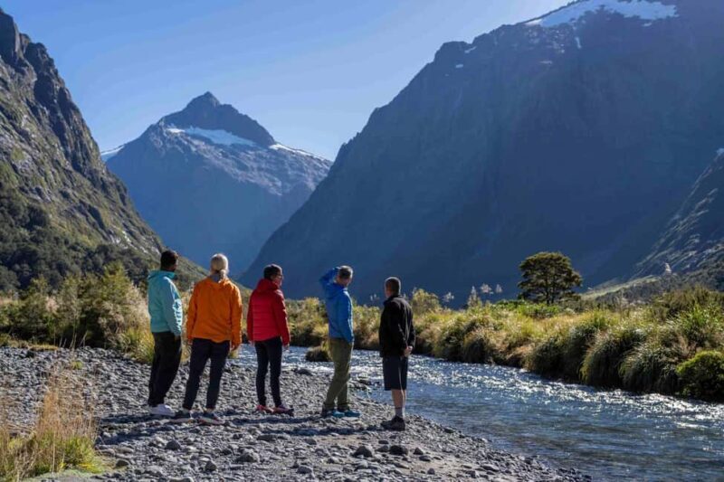 From Te Anau: Milford Sound Coach, Cruise, and Walks - Key Points