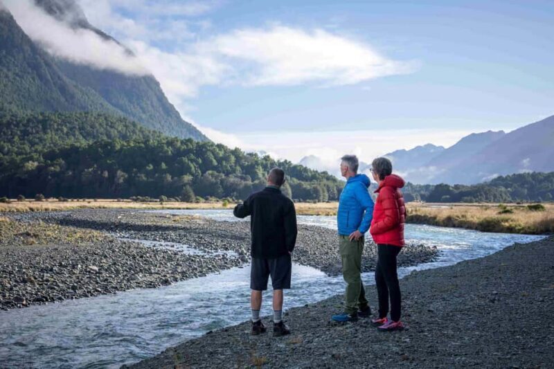 From Te Anau: Milford Sound Coach, Cruise, and Walks - An Unforgettable Day in Milford Sound