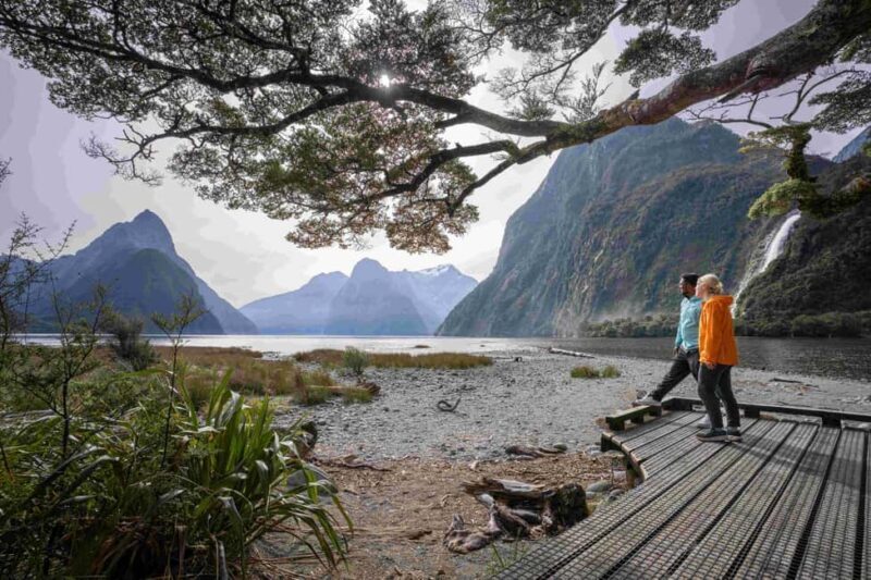 From Te Anau: Milford Sound Coach, Cruise, and Walks - FAQ