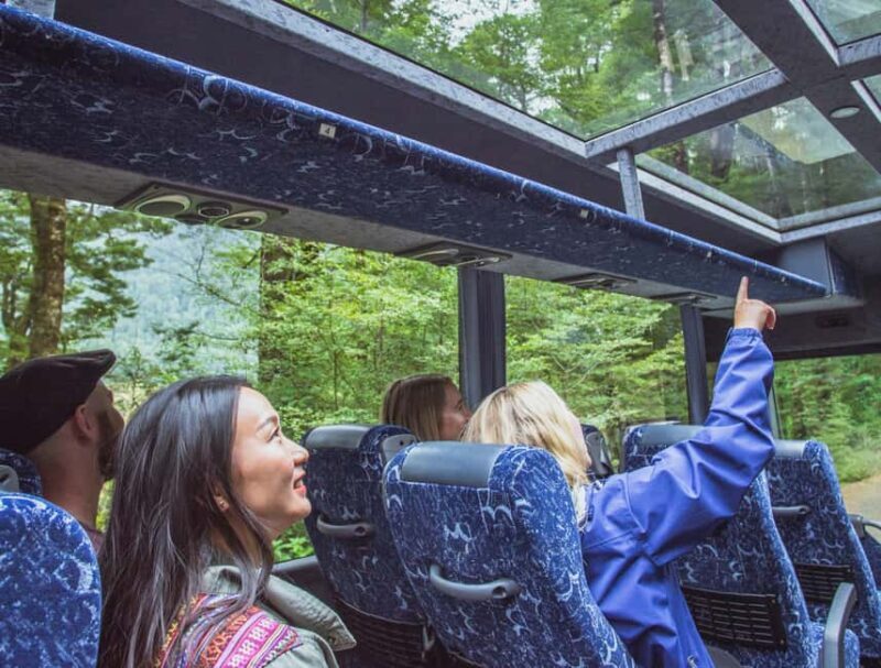 From Te Anau: Milford Sound Coach Tour and Cruise - An In-Depth Look at the Milford Sound Experience