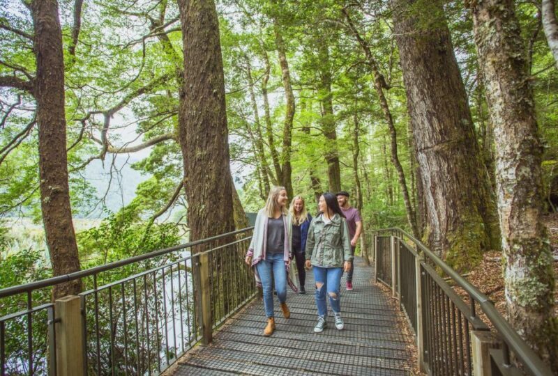 From Te Anau: Milford Sound Coach Tour and Cruise - Authentic Experience: What Travelers Are Saying