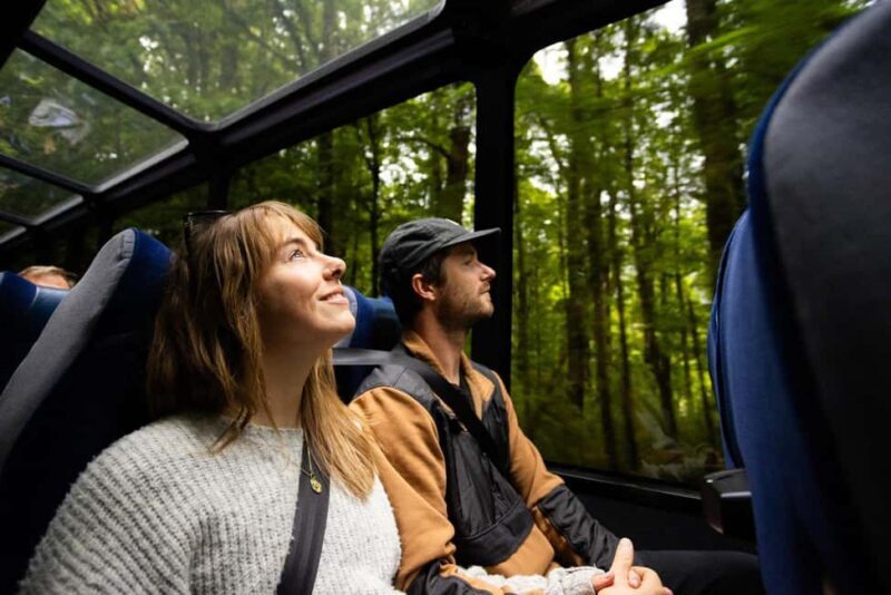 From Te Anau: Milford Sound Cruise and Coach Day Trip - FAQs