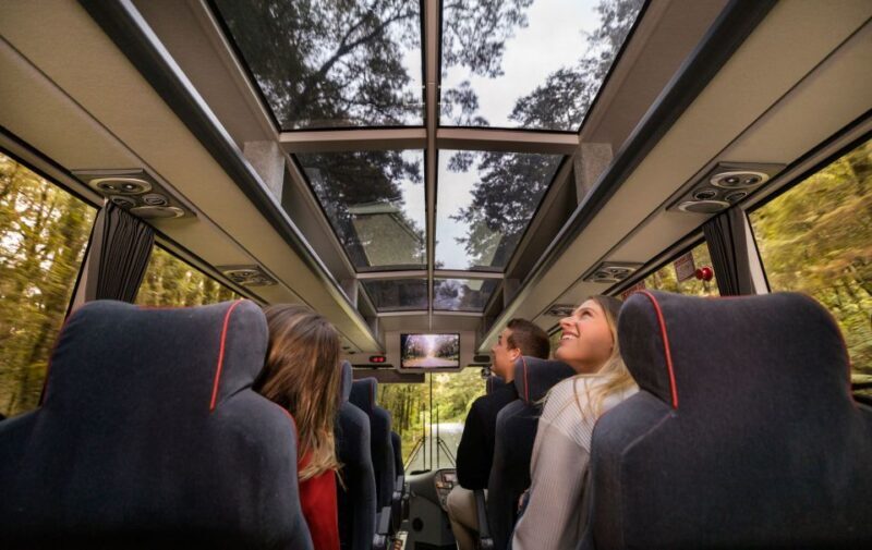 From Te Anau: Milford Sound Premium Bus Tour and Cruise - A Deep Dive into the Experience