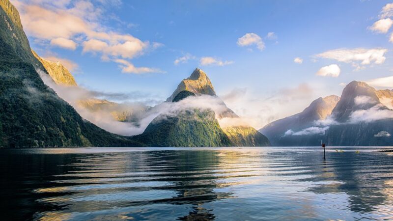 From Te Anau: Milford Sound Tour with Cruise and Lunch - The Sum Up: Is This Tour Right for You?