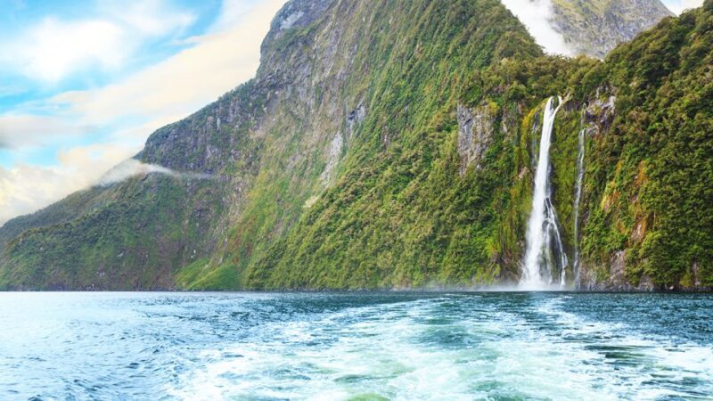 From Te Anau: Milford Sound Tour with Cruise and Lunch - FAQ