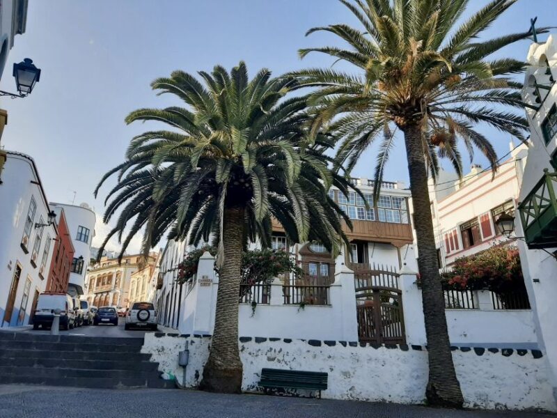 From Tenerife: Day Trip to La Palma Volcanic Landscapes - The Ferry Ride: Starting with the Sea