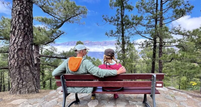 From Tenerife: Day Trip to La Palma Volcanic Landscapes - Lunch: Tasting Palmero Flavors