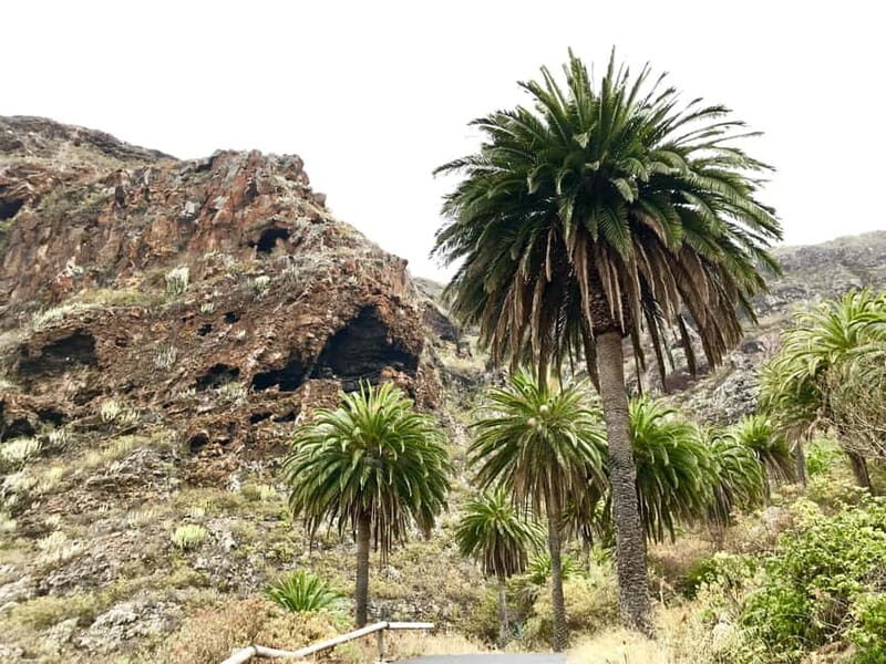 From Tenerife South: La Gomera Full-Day Trip with Transfers - A Complete Guide to the Tenerife South: La Gomera Full-Day Trip with Transfers