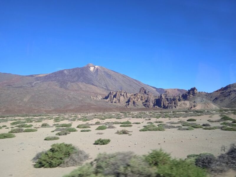 From Tenerife: Teide National Park Guided Day Trip by Bus - Practicalities and Price-Value Analysis
