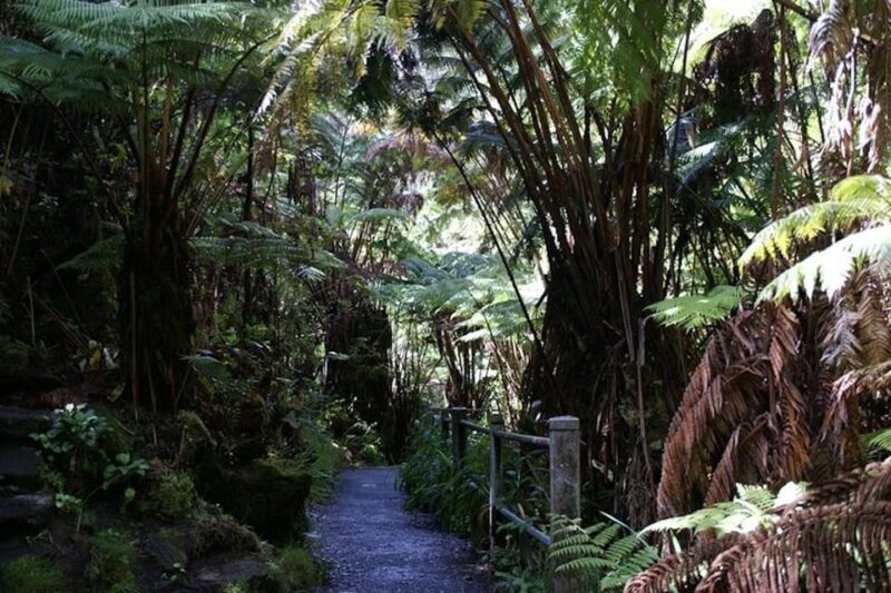 From the Big Island: Hawaii Volcanoes National Park Tour - Who Will Enjoy This Tour?