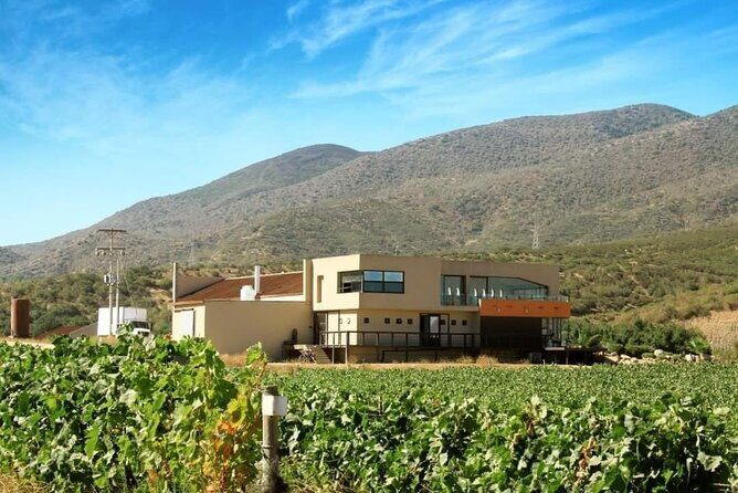 From the Border Valle de Guadalupe Private Wine Tour - Exploring the Itinerary in Detail