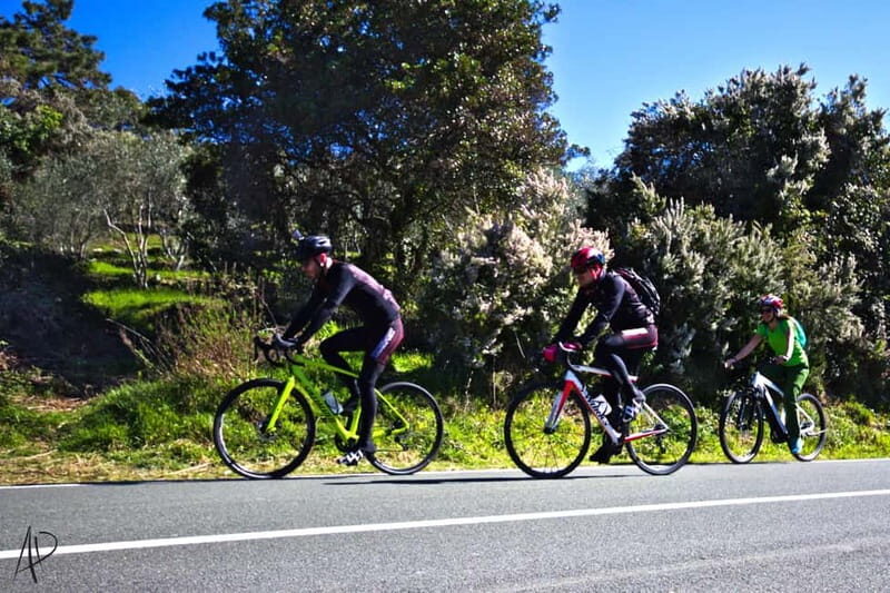 From the Hills of the Sun to Montemarcello: E-Bike Tour - Who Will Love This Tour?