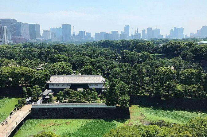From the Imperial Palace to Odaiba : Time travel to Tokyo - Who Will Love This Tour?