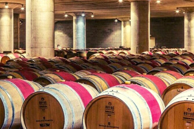 From the Vineyards to the Chalice: A Unique Tasting Experience - Key Points