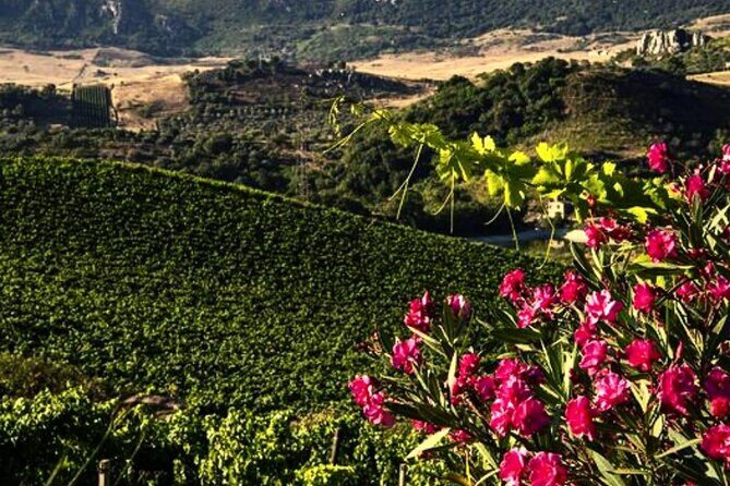 From the Vineyards to the Chalice: A Unique Tasting Experience - Final Thoughts — Is It Worth It?