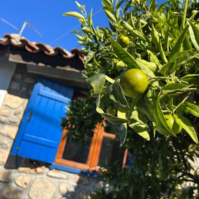 From Thessaloniki: Chalkidiki Hidden Gems Private Day Trip - Introduction: An Inviting Day in Halkidiki