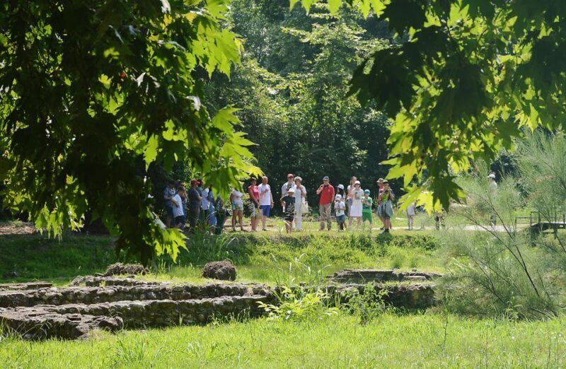From Thessaloniki: Day Trip to Dion and Mount Olympus Park - Key Points