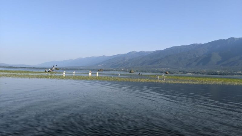 From Thessaloniki: Lake Kerkini, Boat Ride & Winery Day Tour - An Authentic Day Exploring Central Macedonia: Lake Kerkini, a Boat Ride & Winery Tour