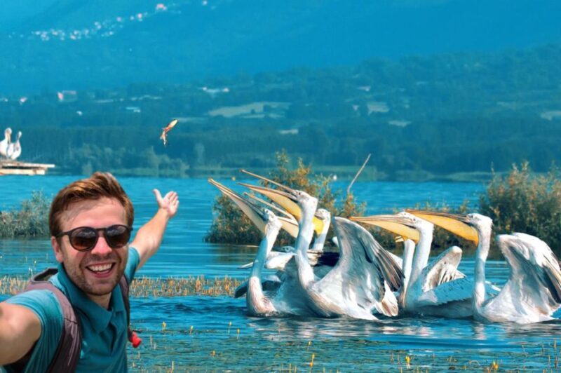 From Thessaloniki: Private Day Trip to Kerkini Lake - What to Expect on the Day