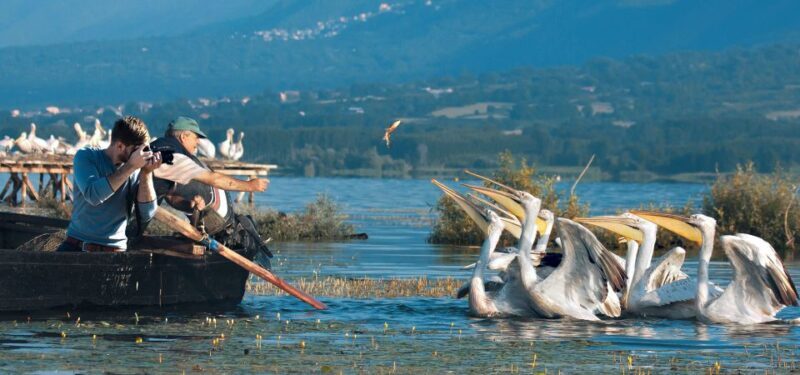 From Thessaloniki: Private Day Trip to Kerkini Lake - FAQ