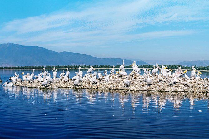 From Thessaloniki: Private Day Trip to Kerkini Lake - FAQ