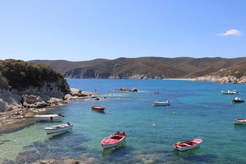 From Thessaloniki: Sithonia East Coast - Zografou Beach: A Calm, Spacious Retreat