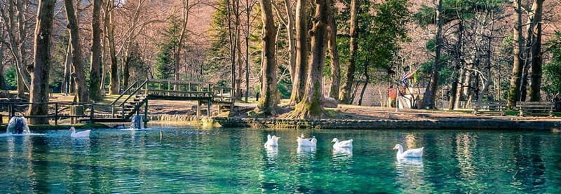 From Thessaloniki: Vergina, Agios Nikolaos, and Edessa - What You Can Expect on This Tour